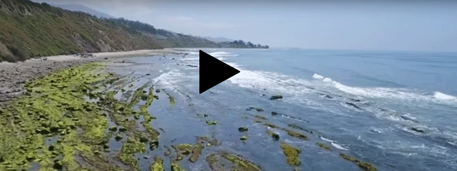 Environmental Defense Center » Education. Advocacy. Legal Action ...